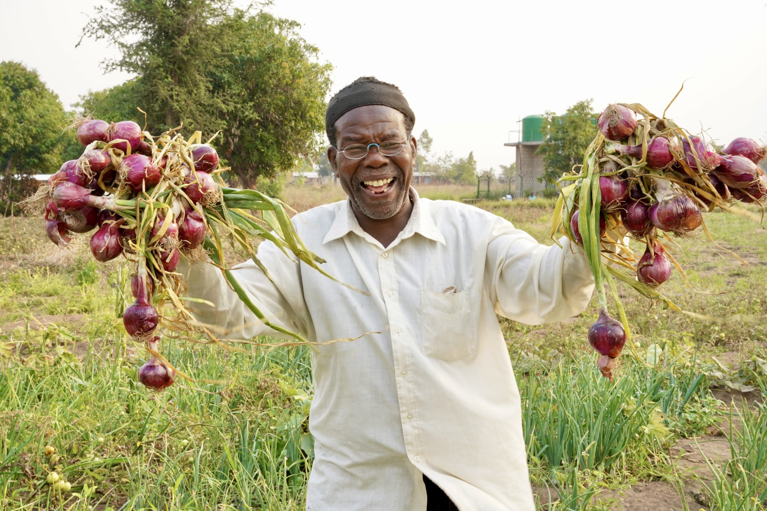 Cash Crops: Solar Irrigation Systems are Creating Opportunities ...